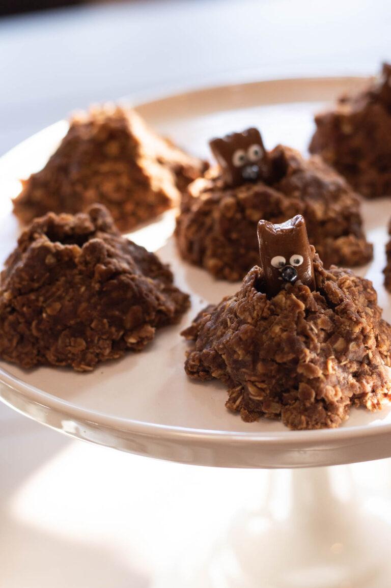 Groundhog Day Party - Holiday Food and Fun