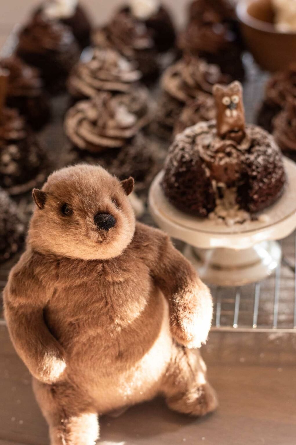 Groundhog Day Party - Holiday Food and Fun